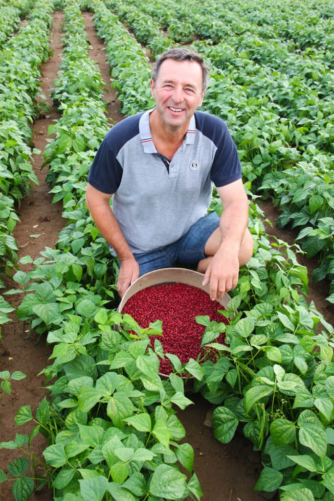 Haricots rouges - PourDemain